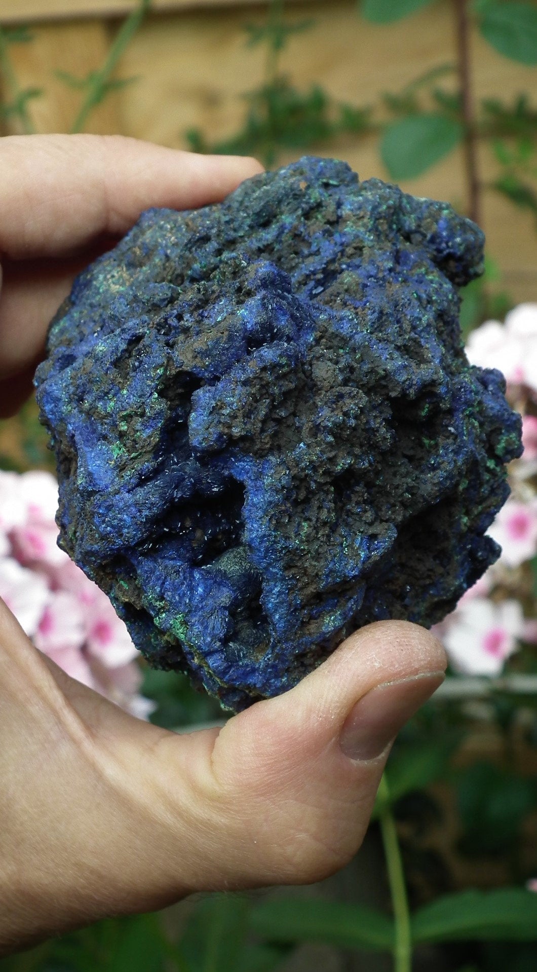Azurite Malachite – Phoenix Galerie